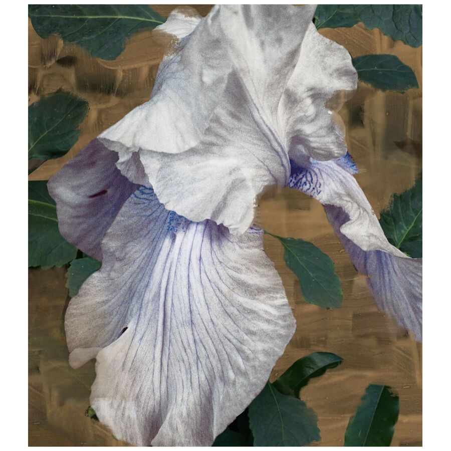 Byredo Eyes Closed edp 100ml - €230.94 - SwedishFace International